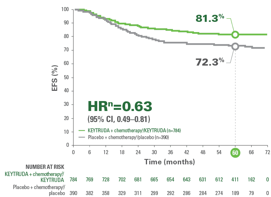 KEYNOTE-522 - Clinical Trial Results | HCP